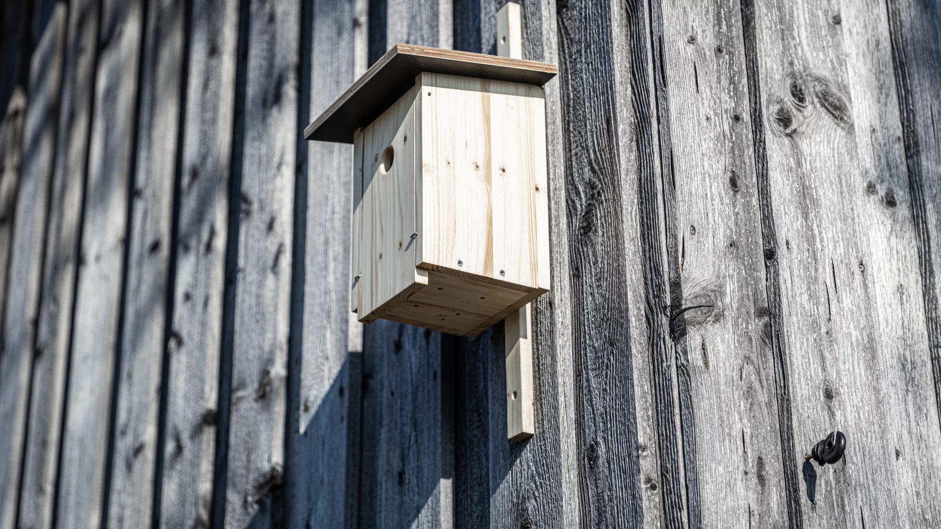 DIY Vogelhaus
